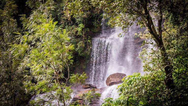 Jhari Falls - Chikmagalur - Connecting Traveller