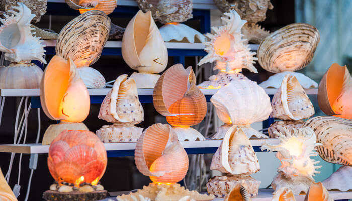 Sea Shell Shop - Daman - Connecting Traveller