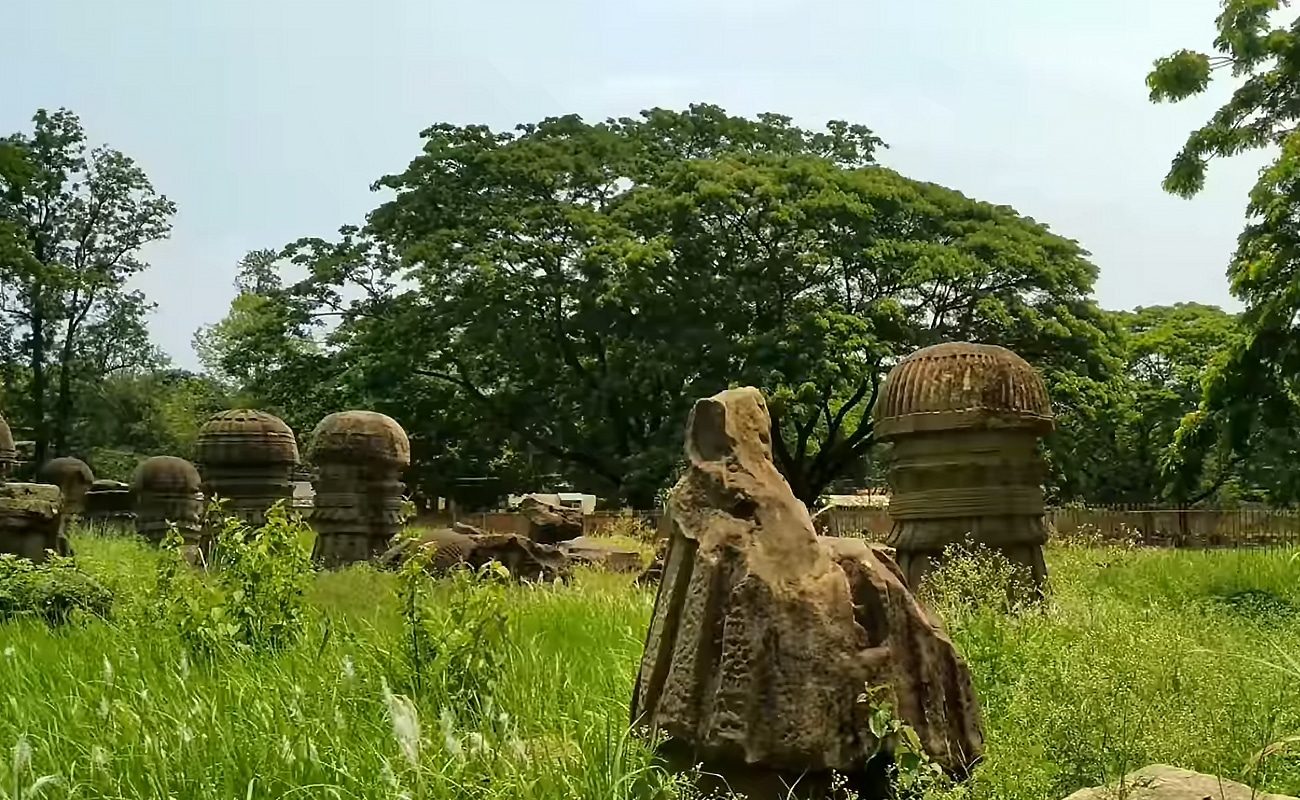 Kachari Ruins - Nagaland - Connecting Traveller