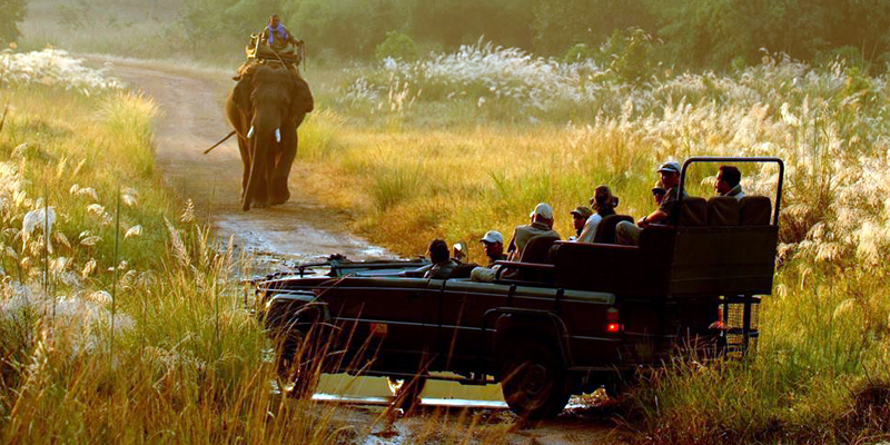 Intanki Wildlife Sanctuary - Nagaland - Connecting Traveller